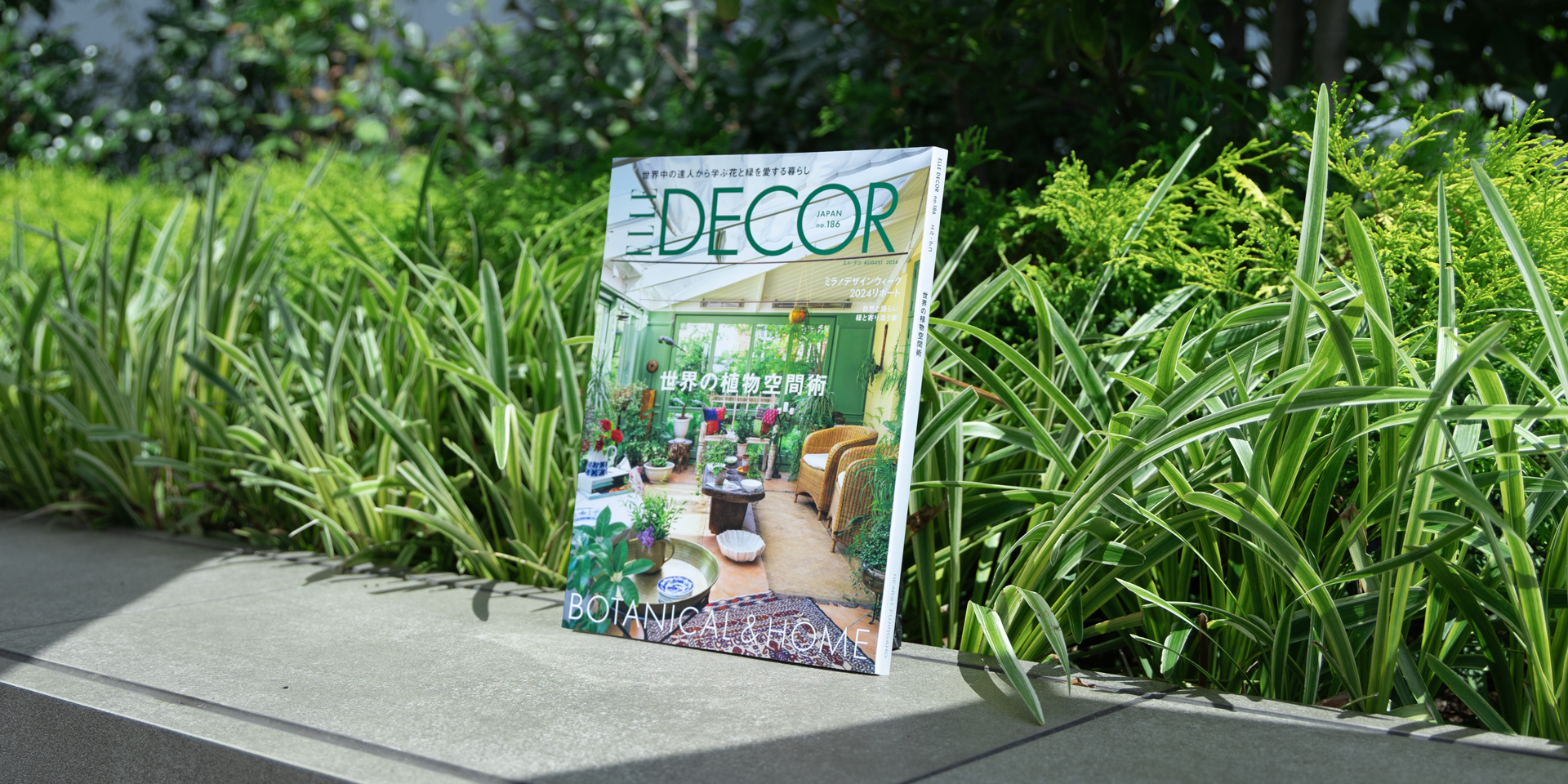 『ELLE DECOR』 2024年8月号 | DRAFT